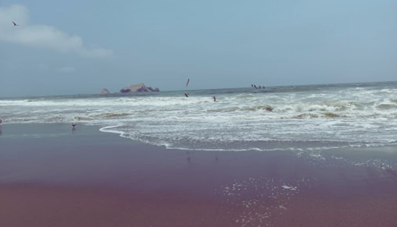 📍Playa Mamacona: Un Rincón Equino Y Arqueológico Cerca De Lima